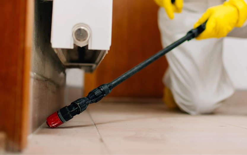 Pest Control, Plymouth, MA | Griggs & Browne