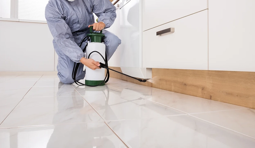 Pest Control Fall River, MA | Griggs & Browne