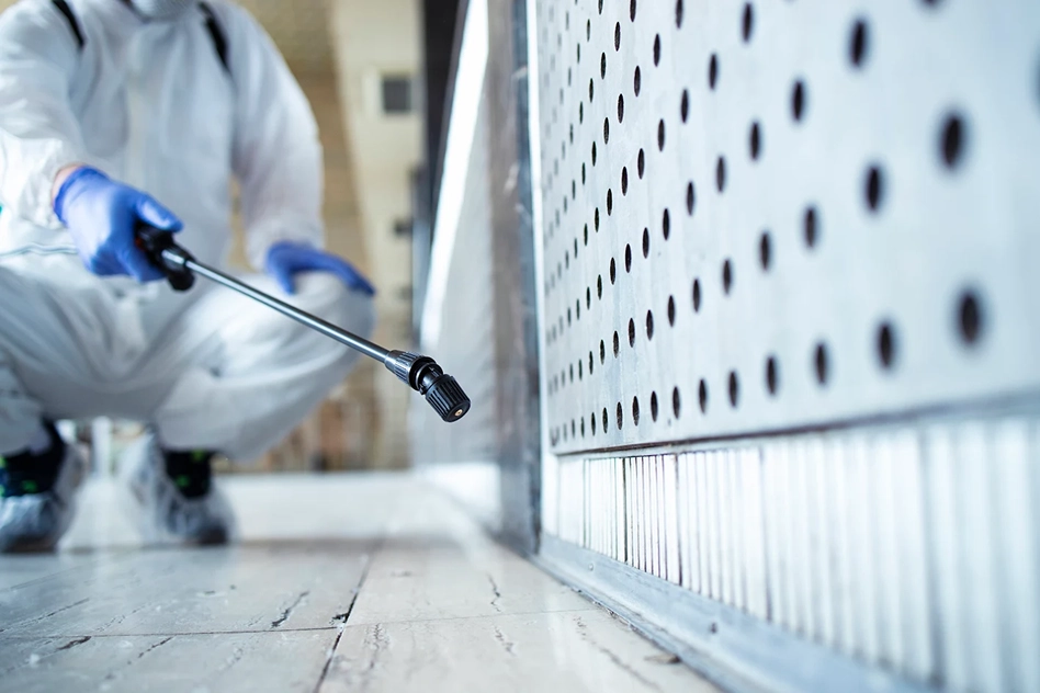 Pest Control in New Bedford, MA | Griggs & Browne
